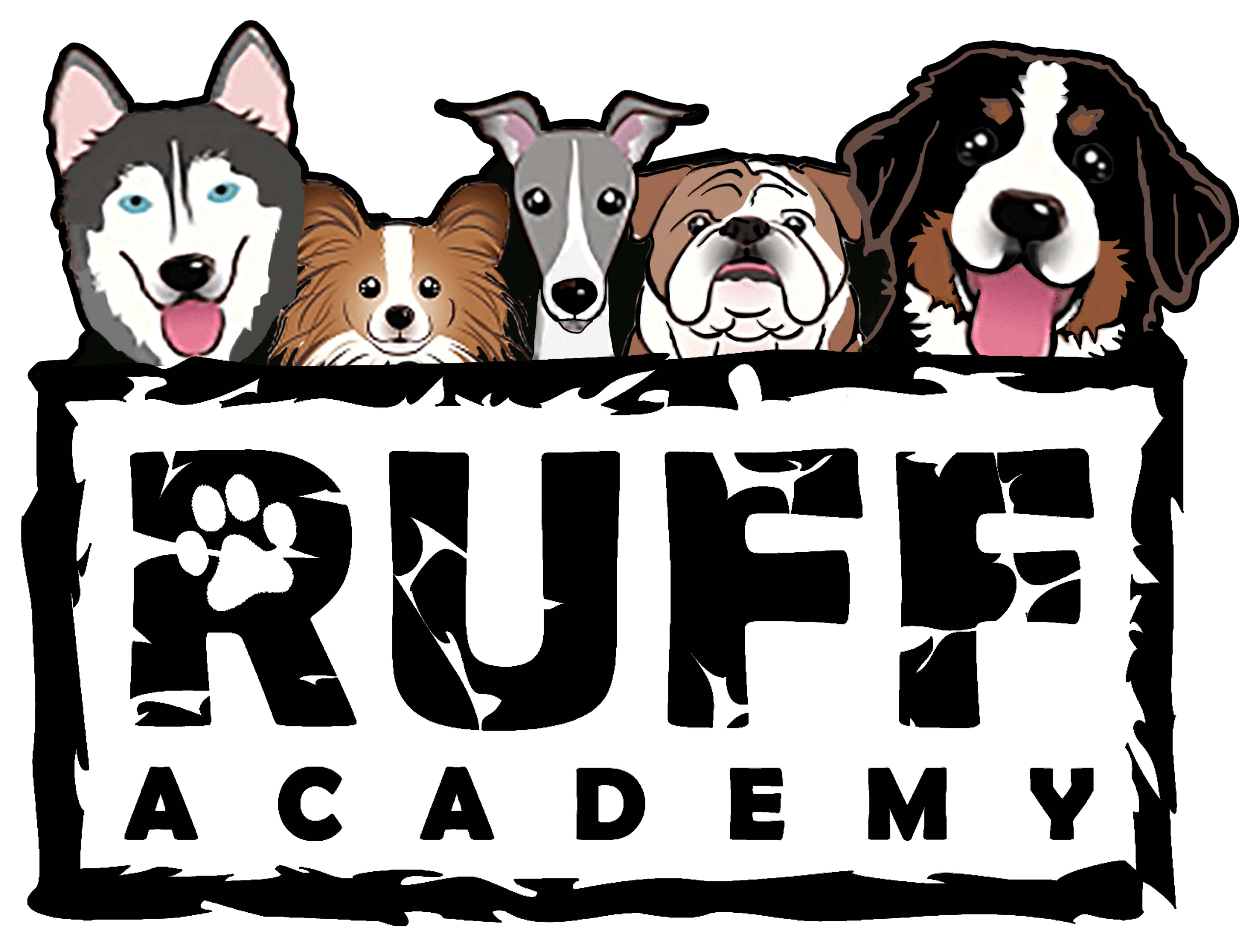 Ruff Academy: Top-rated Dog Training and Boarding Facility
